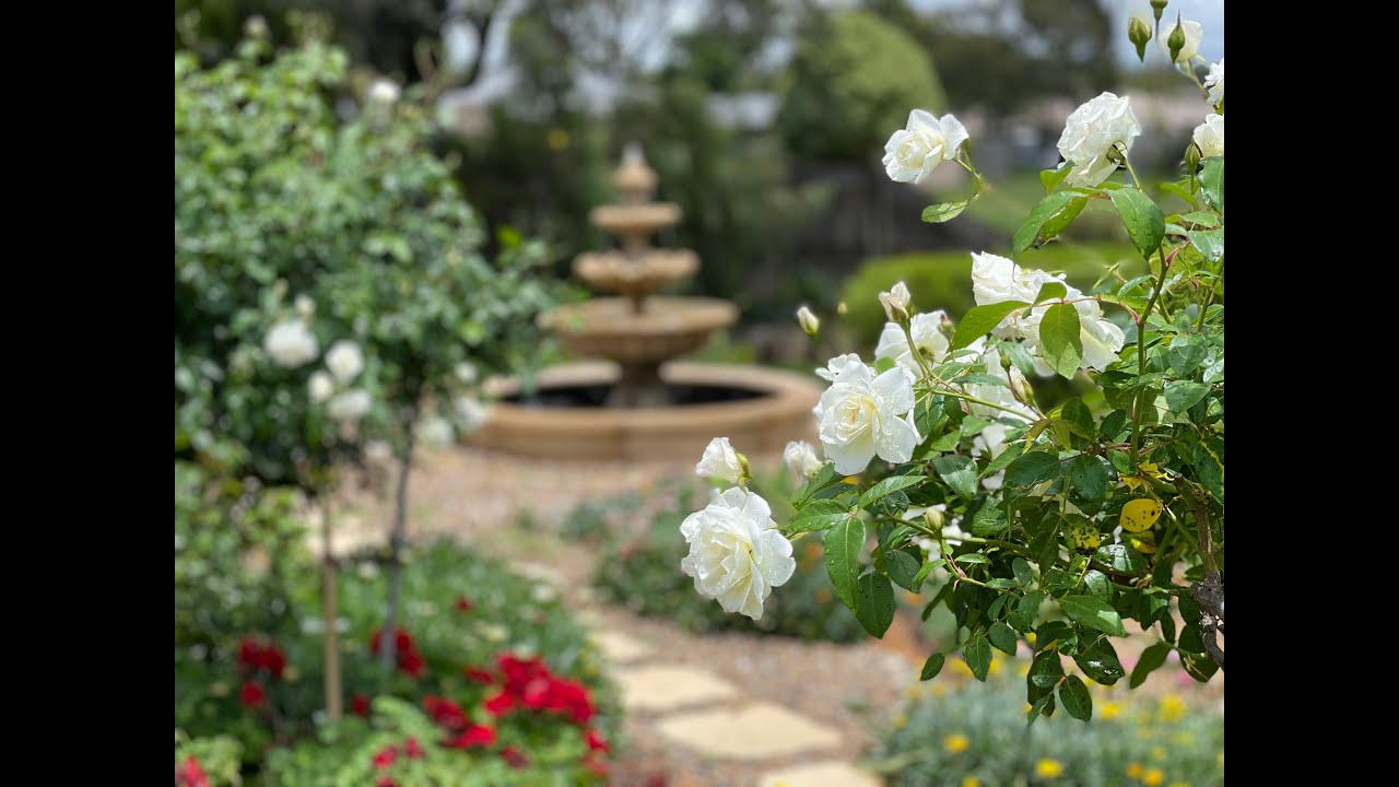 Apple Tree Court 🍎🌳 - Real Walkthrough - YouTube