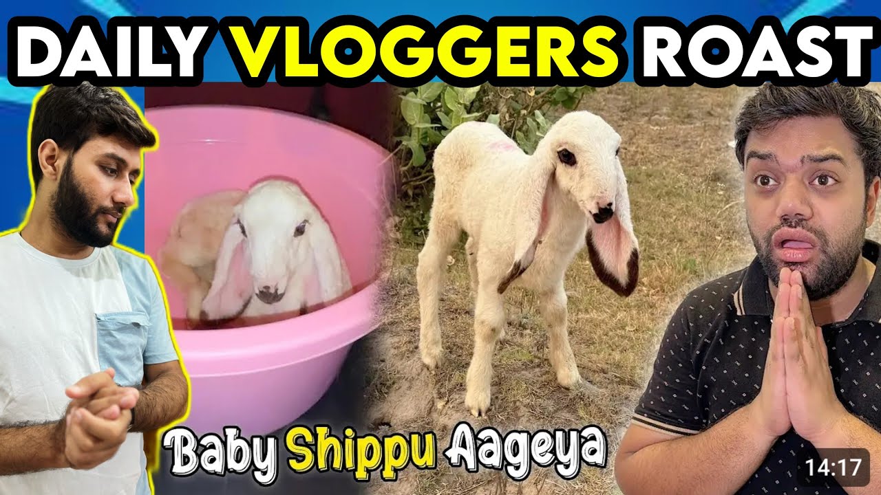 Ducky Aroob Ka Shippu | Vlog Roast | Roasting Daily Vloggers Part 1 😄 ...