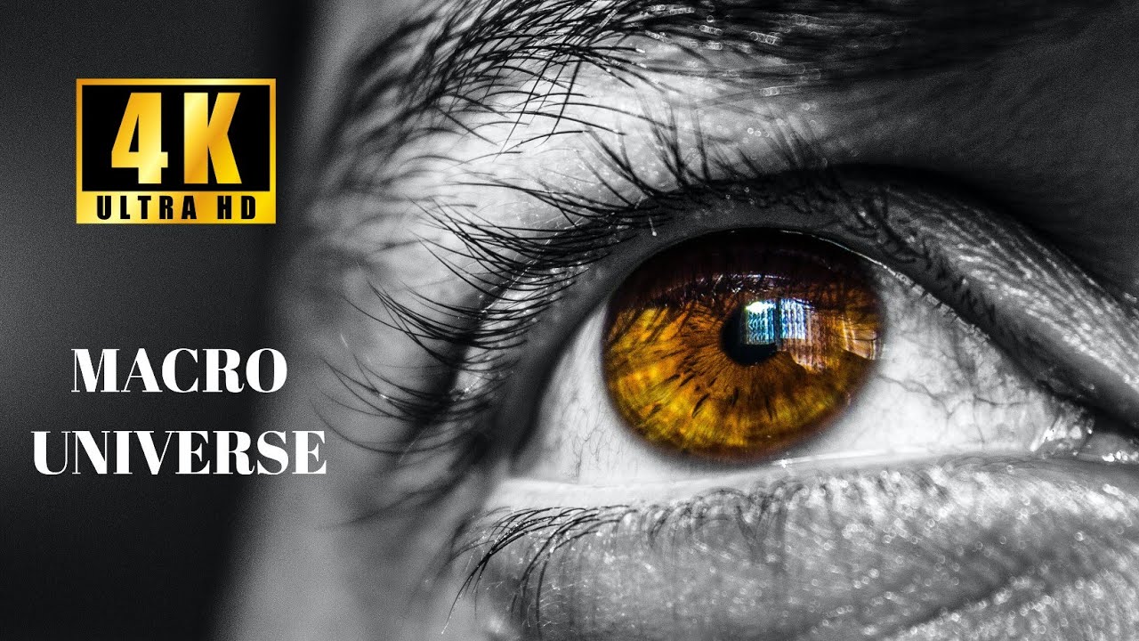 Shoot In Camera Objects Macro In 4K ULTRA HD 60FPS - YouTube