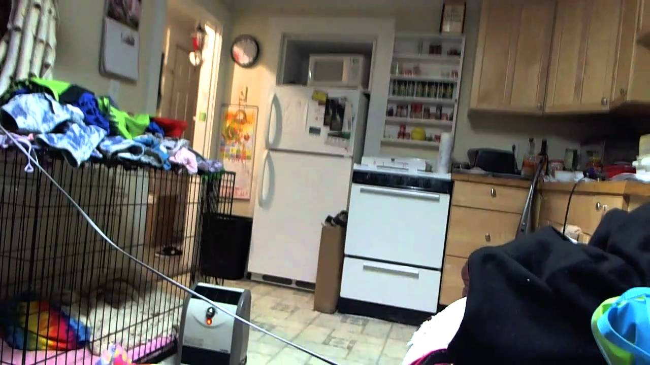 Mom Youtube