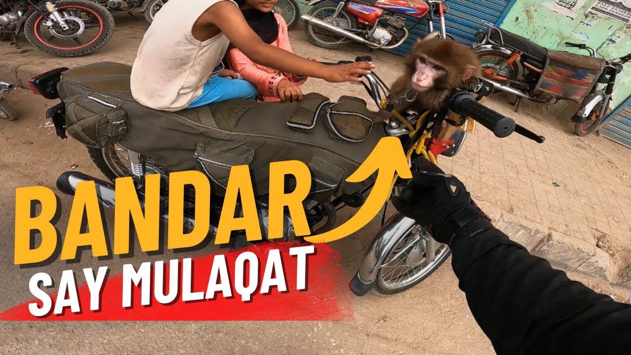 BANDAR SAY MULAQAT | ISRAR BALOCH - YouTube
