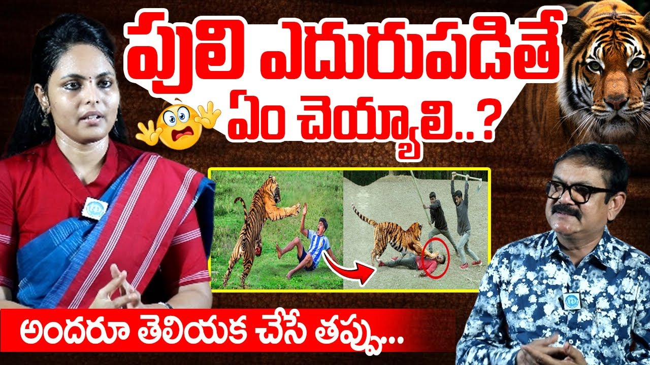 పులి ఎదురుపడితే ఏం చేయాలి..? | Swetha Boddu, IFS D.F.O. Chandrapur, MH ...