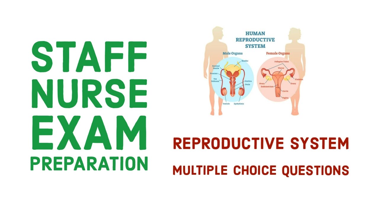 Anatomy and physiology reproductive system mcq with answers - YouTube