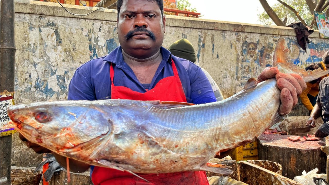 KASIMEDU 🔥 SPEED SELVAM | HUGE KELUTHI FISH CUTTING VIDEO | 4K VIDEO ...
