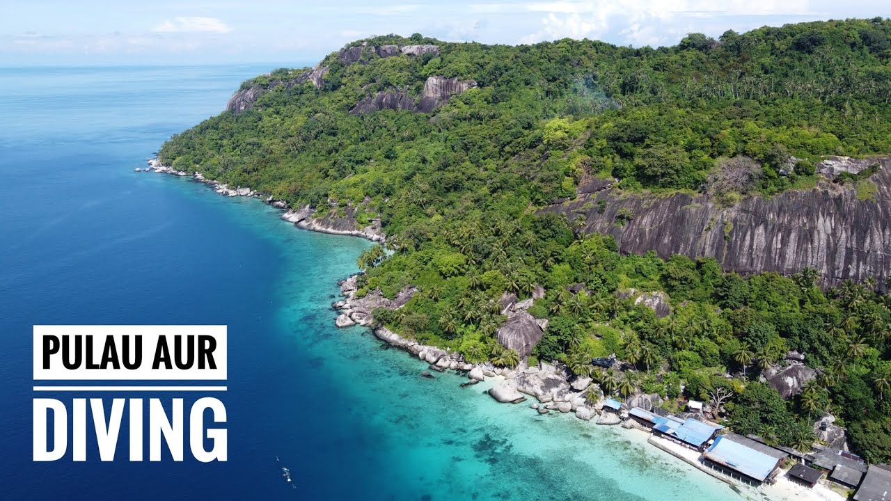 Pulau Aur | Pulau Dayang | 潜水 | Leisure dive | ghostnet removal | 2022 ...