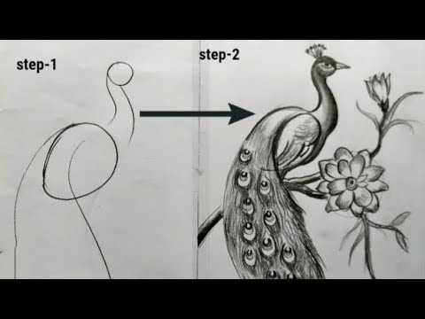 Easy Method to Draw Peacock | Peacock Art | Tutorial | Vlogger 3/30 ...