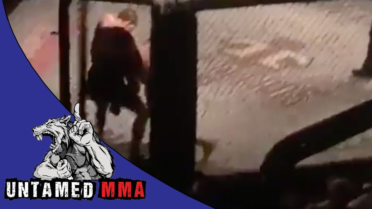 MMA Fighters fall out of cage MMA NEWS FEBRUARY 2016 - YouTube