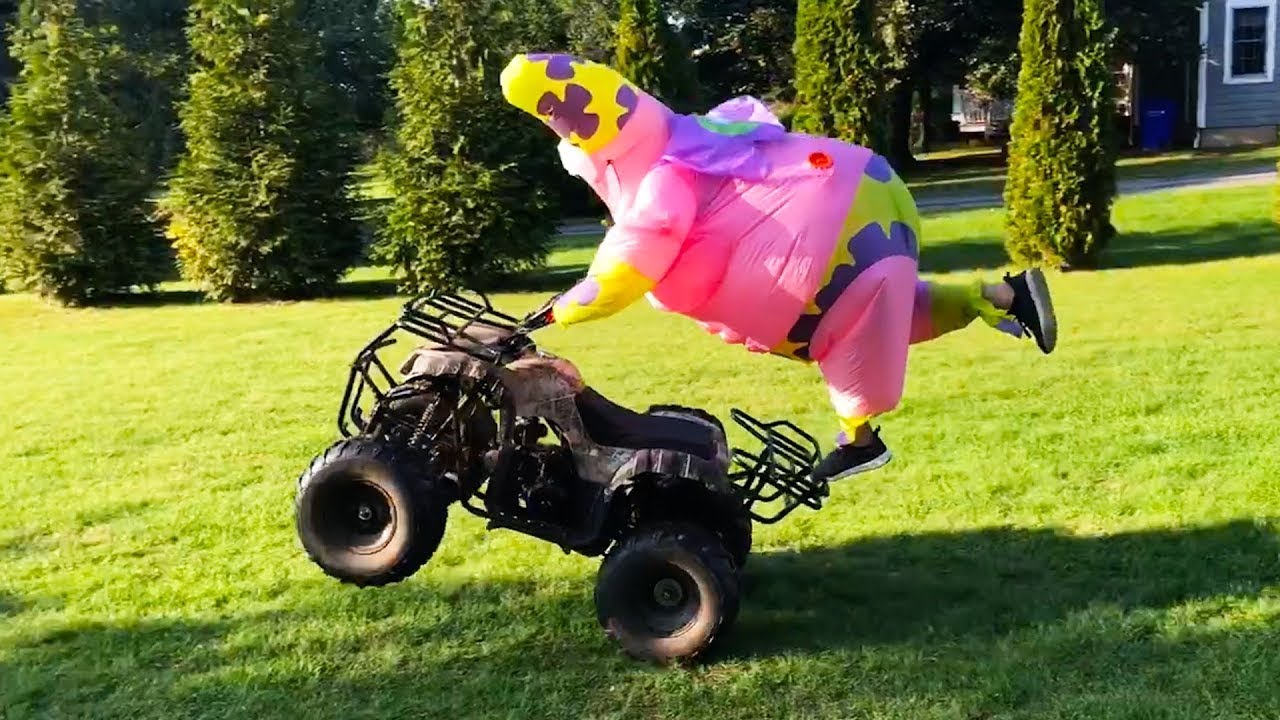 Try Not to Laugh Challenge 🤣 ULTIMATE Funny Fails 2025 - YouTube