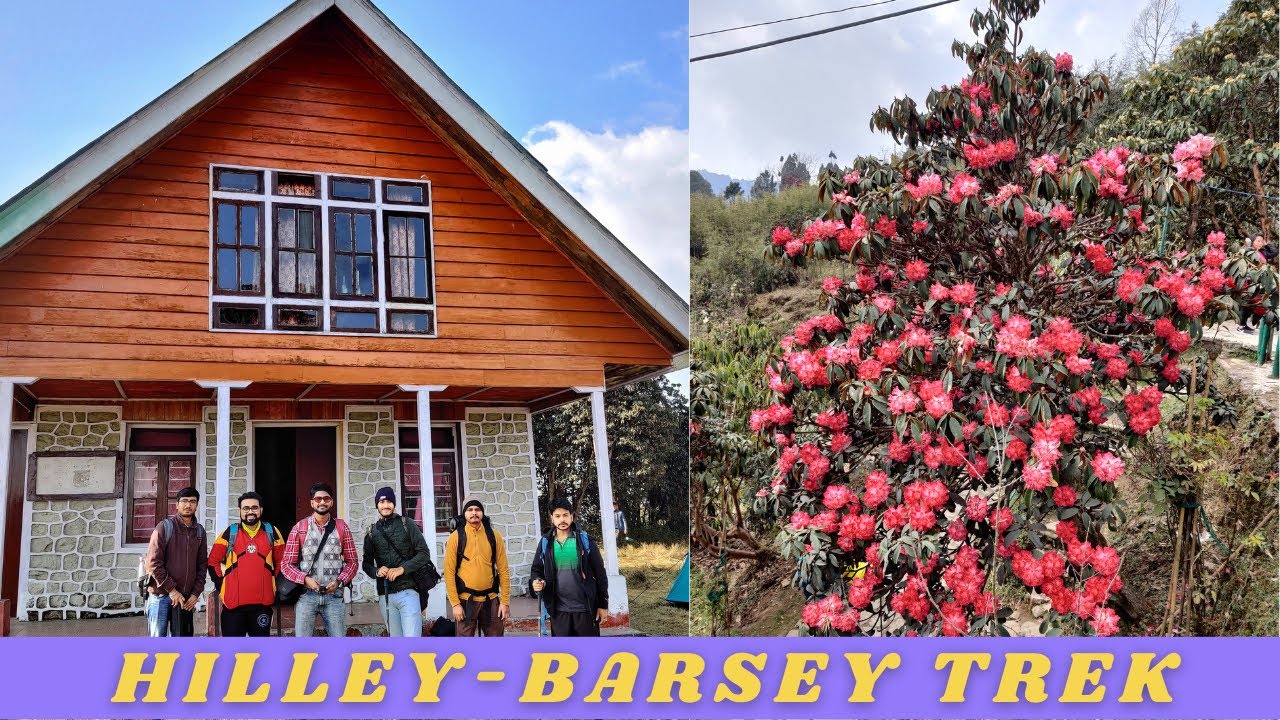 Hilley Varsey Full Trek Details|Varsey Rhododendron Sanctuary|Varsey ...
