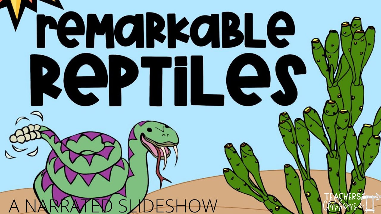 Remarkable Reptiles by Teacher's Clubhouse - YouTube