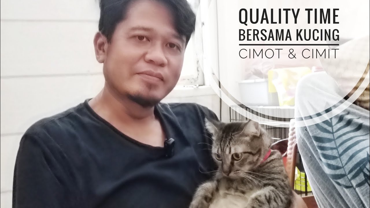 Quality time bersama kucing Cimot & Cimit #funny #vlog #cat #kucinglucu ...
