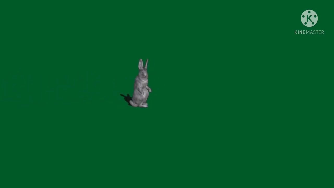 Green screen rabbit || green screen video || green screen animal ...