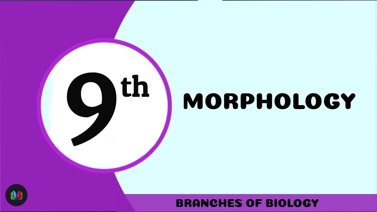 What is Morphology | Branches of Biology | Class 9TH Biology - YouTube