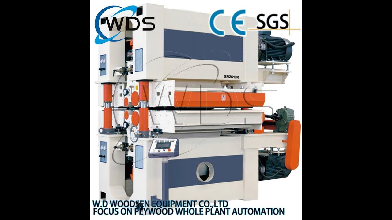 Precision Sanding! WOODSEN Heavy Duty Double Head Thickness Sanding ...