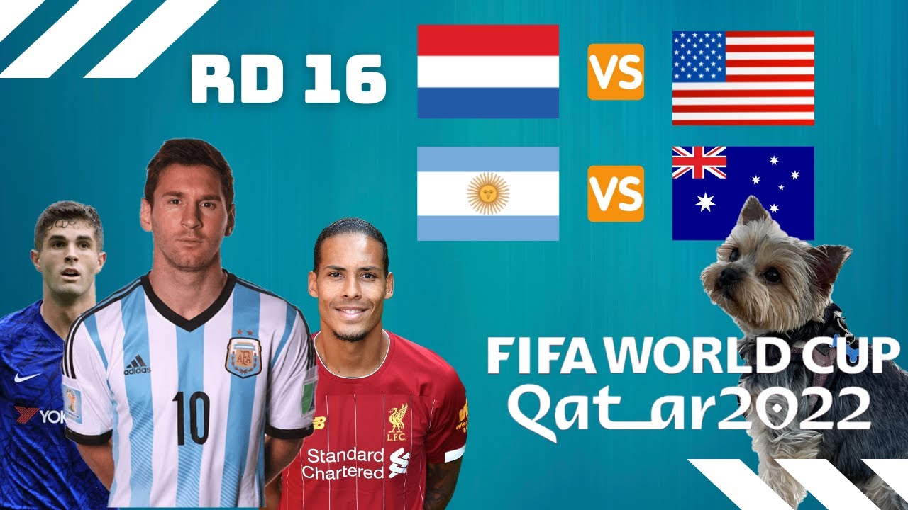 Dog World Cup 2022 Prediction 🐶 Netherlands vs USA ⚽ Argentina vs ...