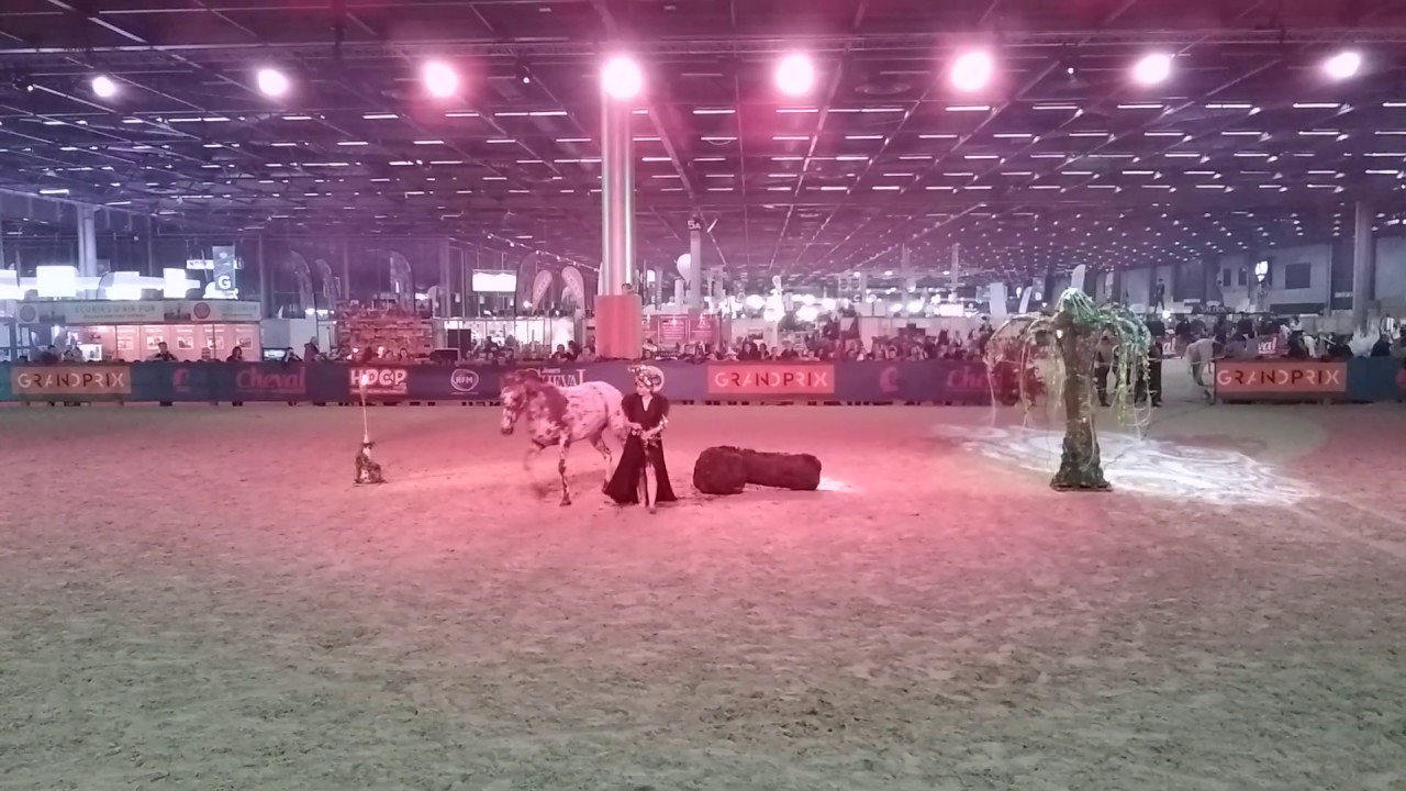 Equistar 5 apaloosa liberté - YouTube