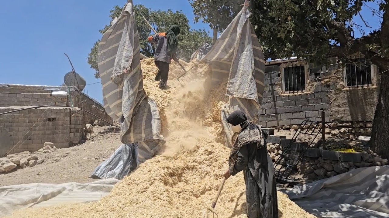 Hassan's help to his mother in preparing food for the sheep - YouTube