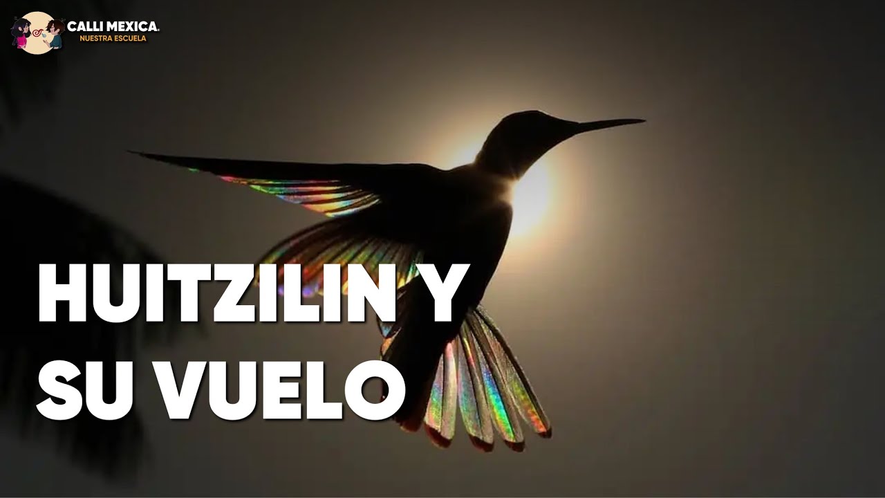 CUENTO: Huitzilin y su Vuelo - YouTube