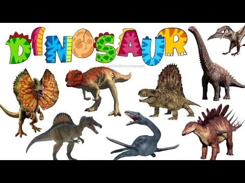 Learning different types of Dinosaurs Names & Songs |carnivorous and ...