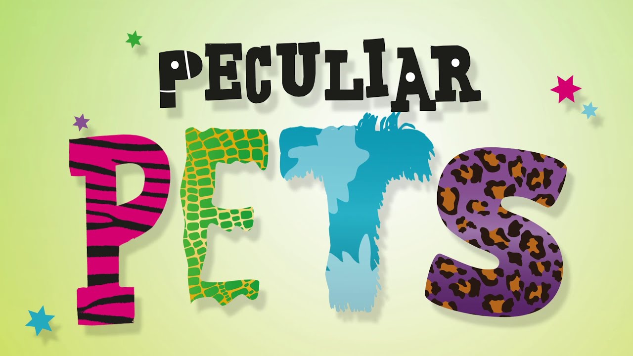 Peculiar Pets Poetry Contest for Elementary Students (All Grades) - YouTube