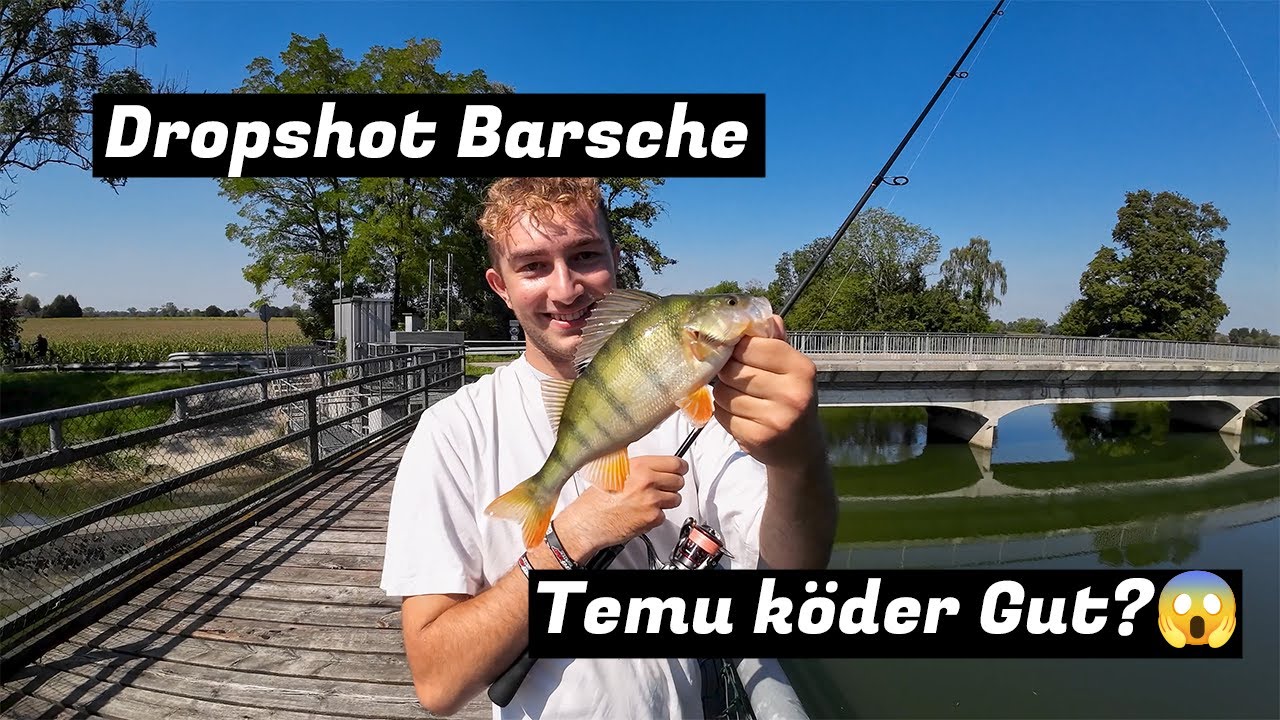Dropshot Barsche / Fangen wir mit Temu Ködern? - YouTube