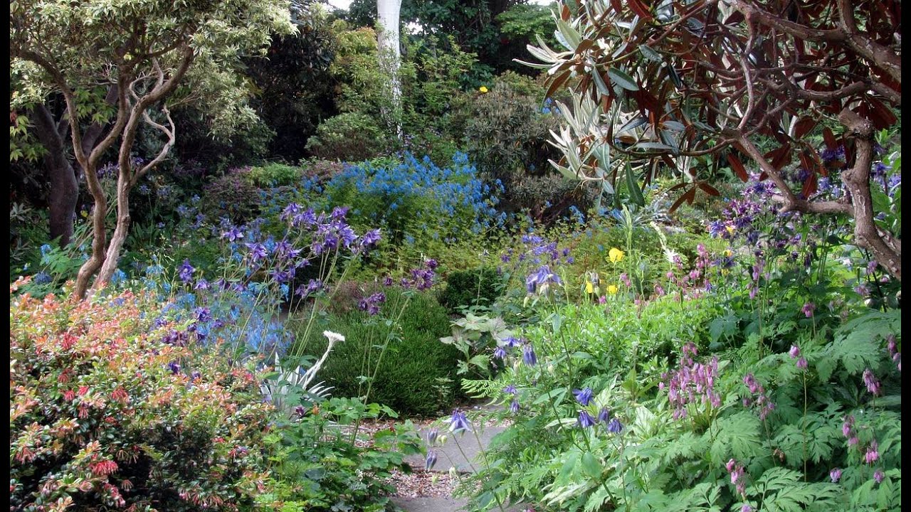 Bulb Log Video Diary Supplement Celebrating 700 Bulb Logs - YouTube