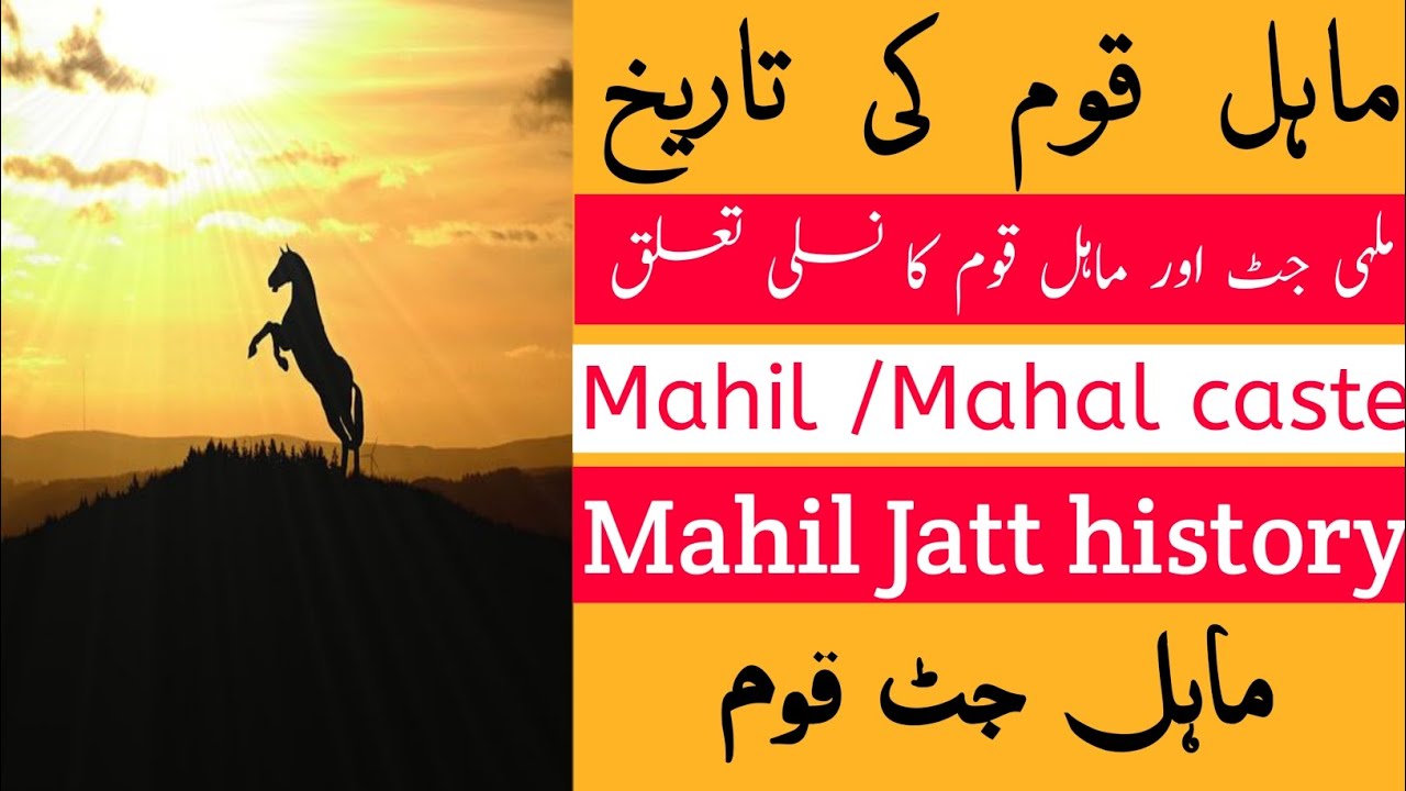 History of Mahil caste | ماہل قوم کی تاریخ | Mahal caste | History of ...