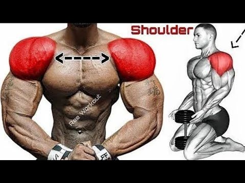 #shoulder workout top 5 exercises, top 5, top 5 shoulder, top 5 ...