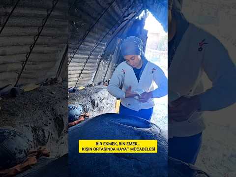 Günün Kahramanı Bir Ablamız ☀️#doğu #şırnak #kadınlar #emek #alınteri #tandır #kadınemeği #keşfet