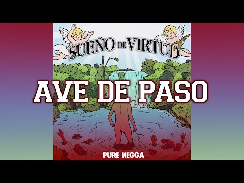 Pure Negga X Oto Beats - Ave de paso (Lyric video)