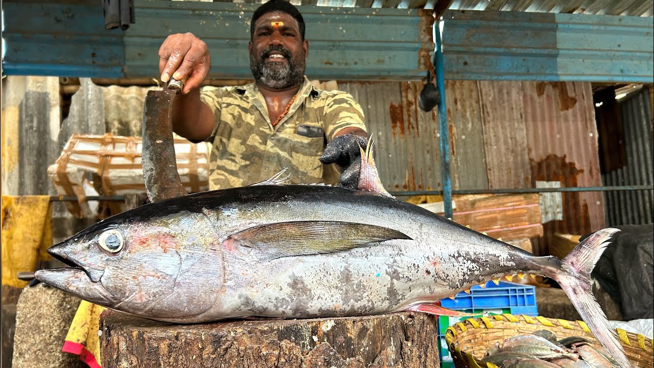 🤯🔪15KG TUNA FISH 🐟 KASIMEDU MINNAL RAJA FISH CUTTING SKILLS VIDEO # ...