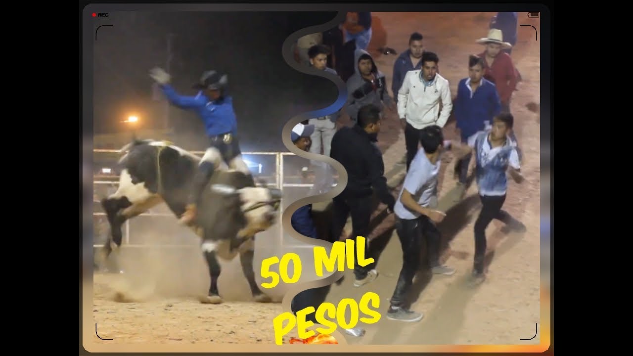 ¡HUBO CAMPEÓN SIN CORONA?(TERMINO MAL)¡TORNEO NACIONAL EL GALLO COLÓN ...