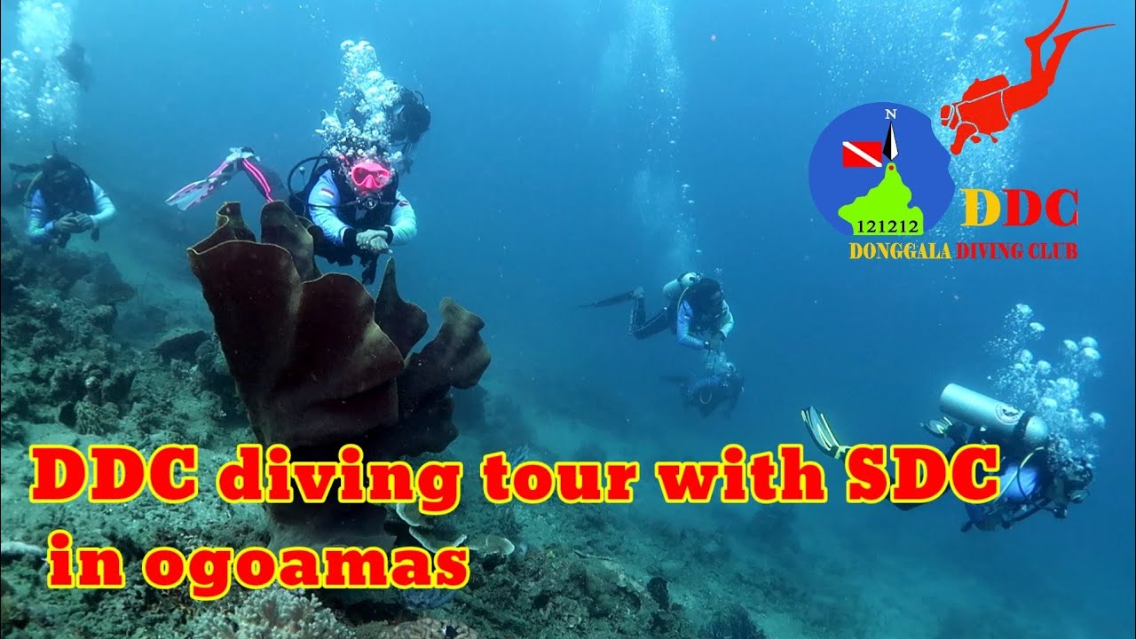 Scuba Diving || DDC diving tour with SDC in ogoamas part 1 - YouTube