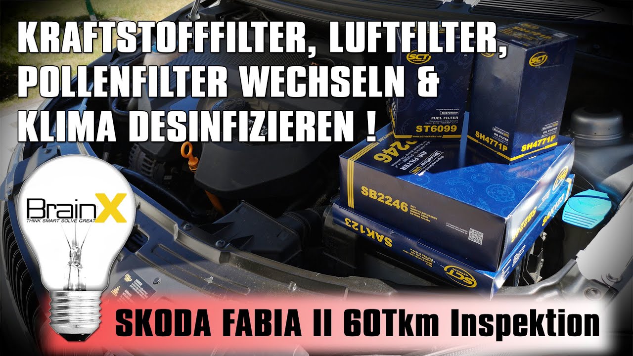 Skoda Fabia Inspektion Zurckstellen