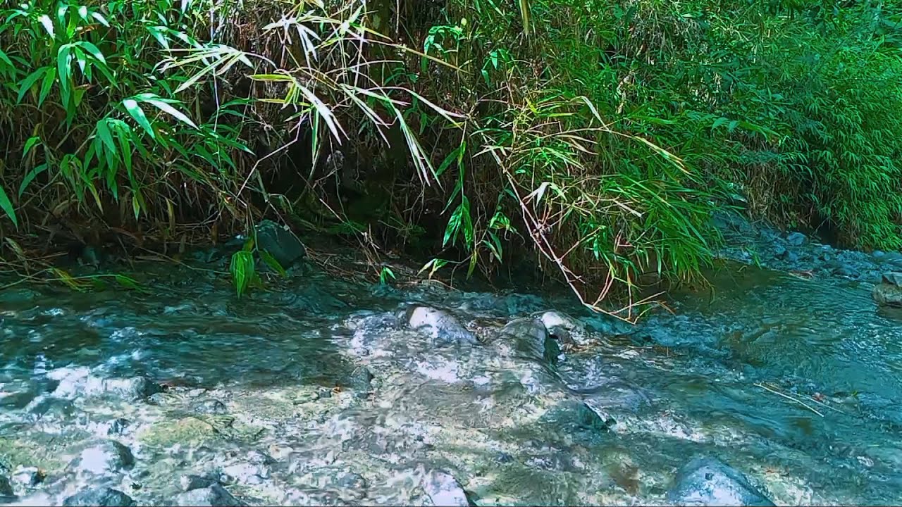 Crystal Clear Water Flow: Relax and Drift Into Dreamland - YouTube