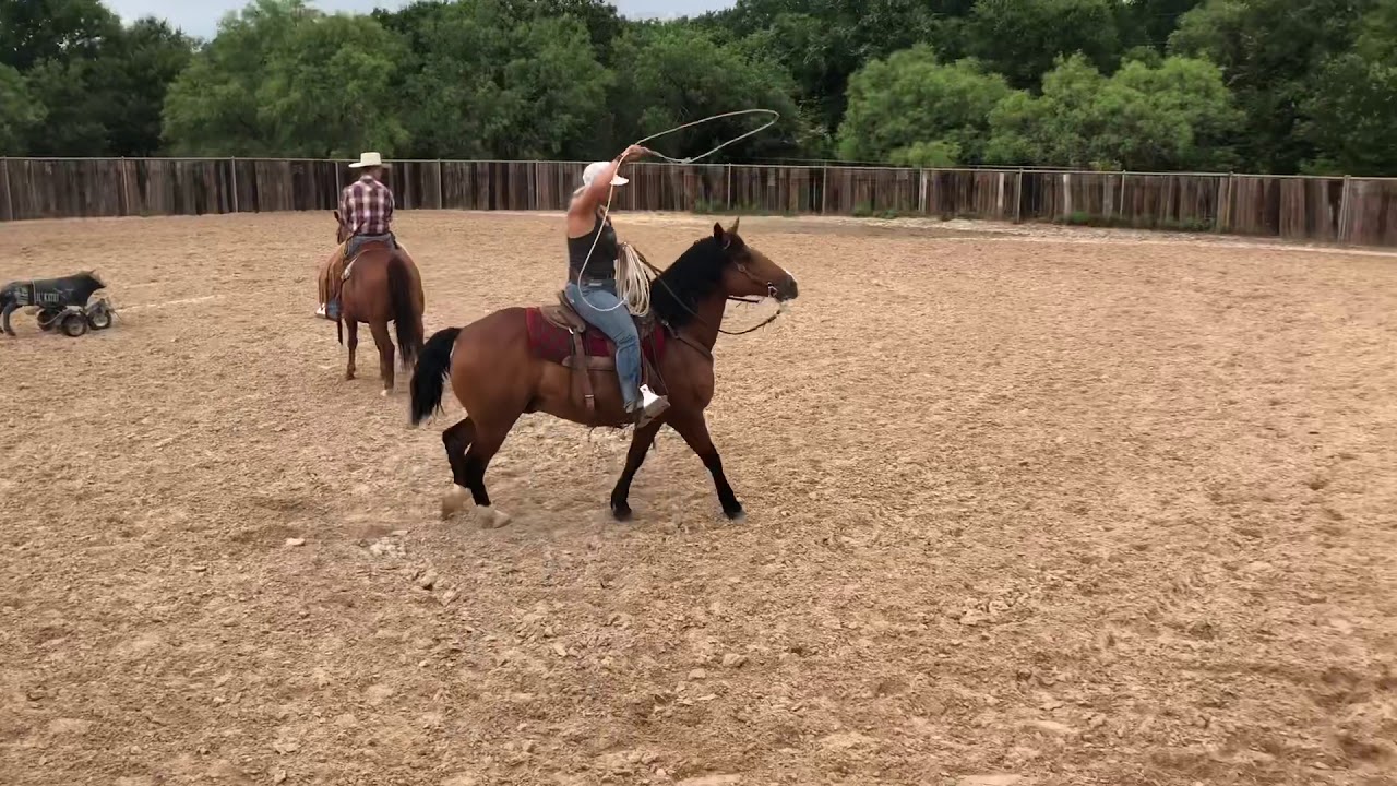 Cheeto- Rope Work/Dragging Dummy - YouTube
