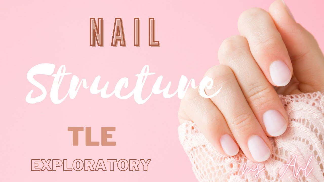 Nail Structure | Nail Care Services | TLE - YouTube
