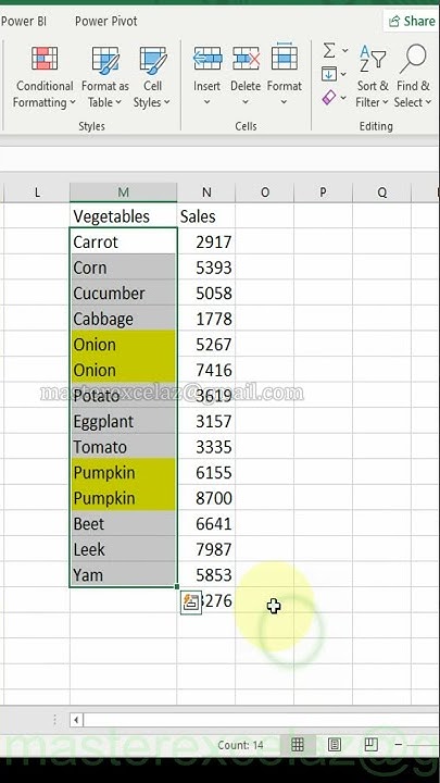 Duplicate conditional format | excel tutorial | #Shorts - YouTube