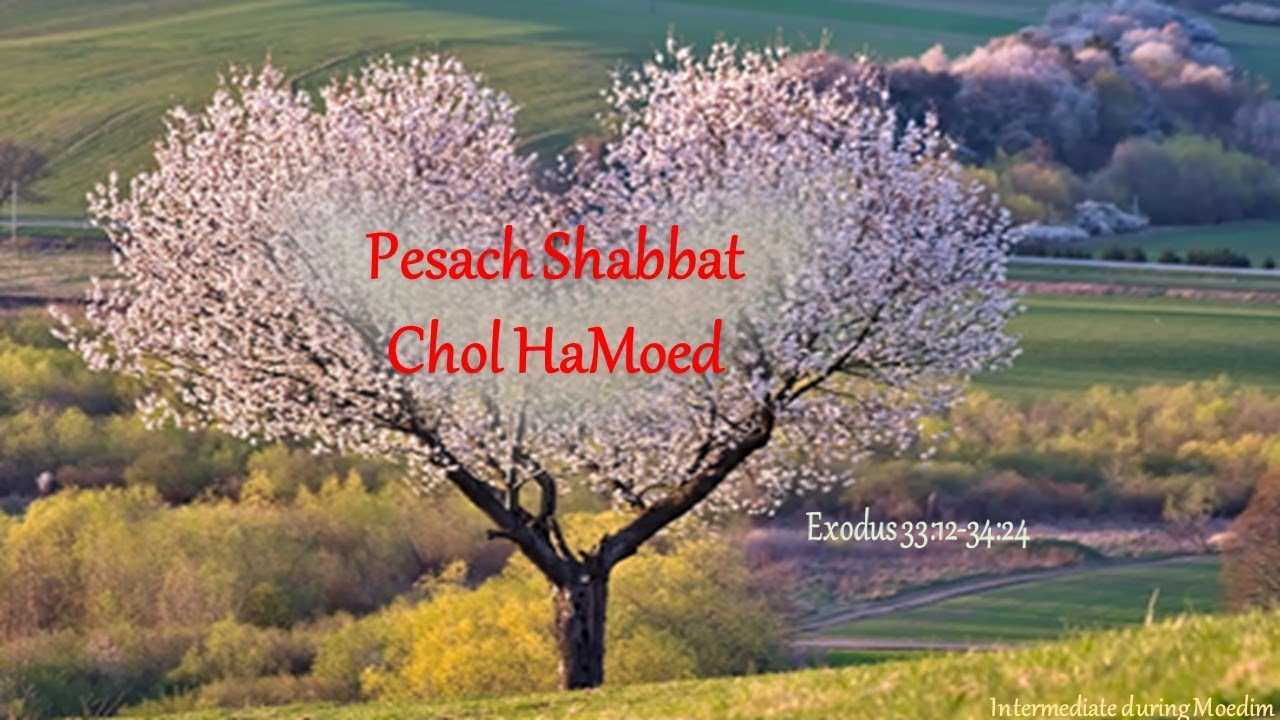 Shabbat Service - Pesach Shabbat Chol HaMoed24 - YouTube