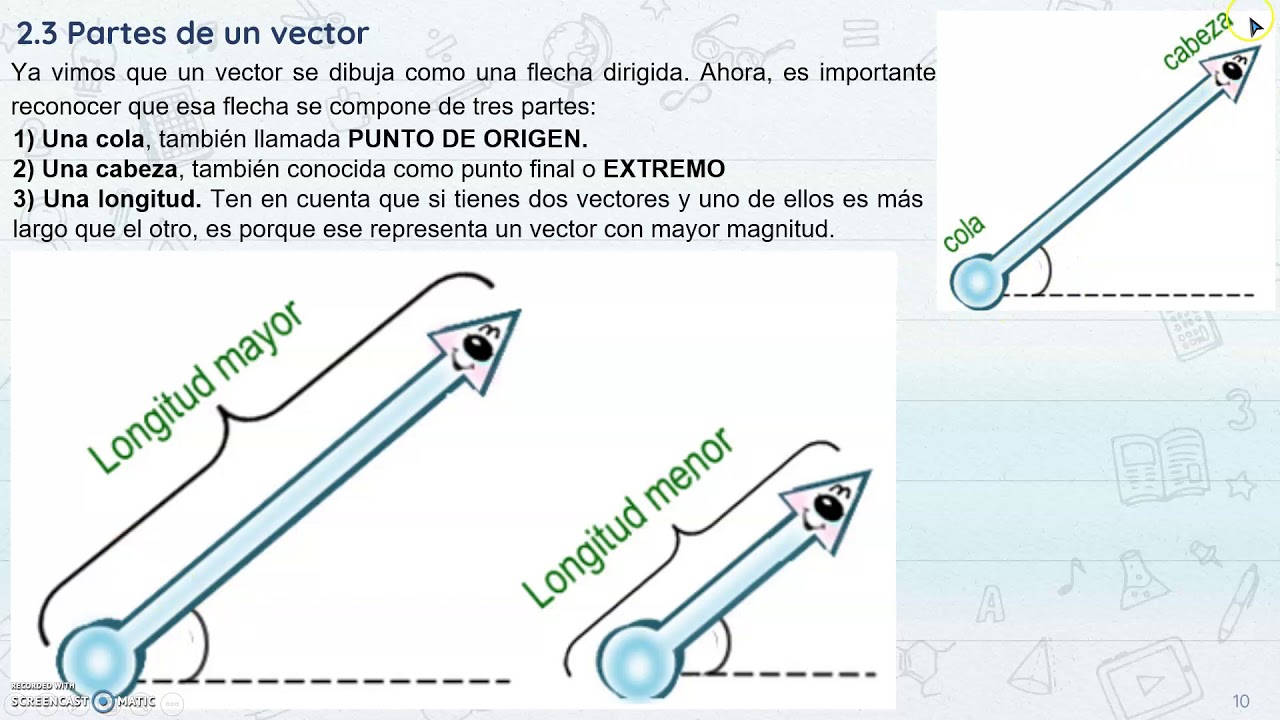 4 Partes de un Vector 1ro y 2do BGU - YouTube