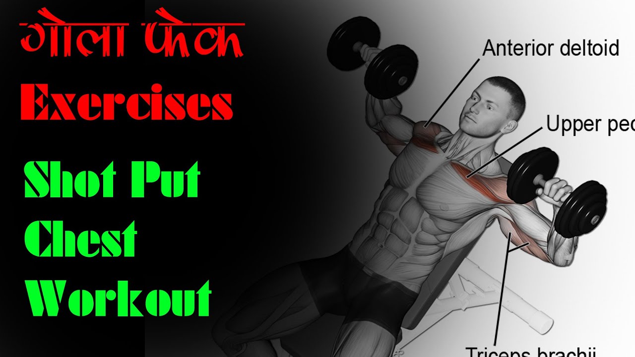 Gola Fek Exercises | Shotput Chest workout | Chest workout for Shotput ...