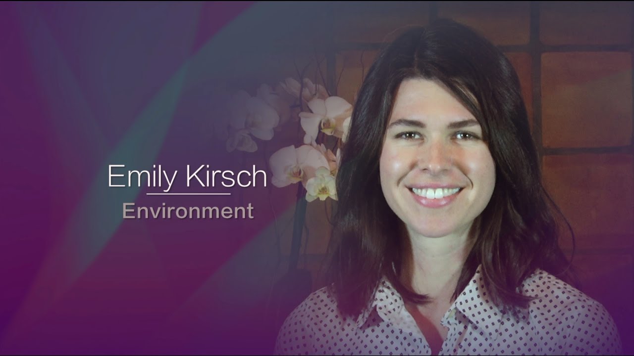 Emily Kirsch - Environment - YouTube