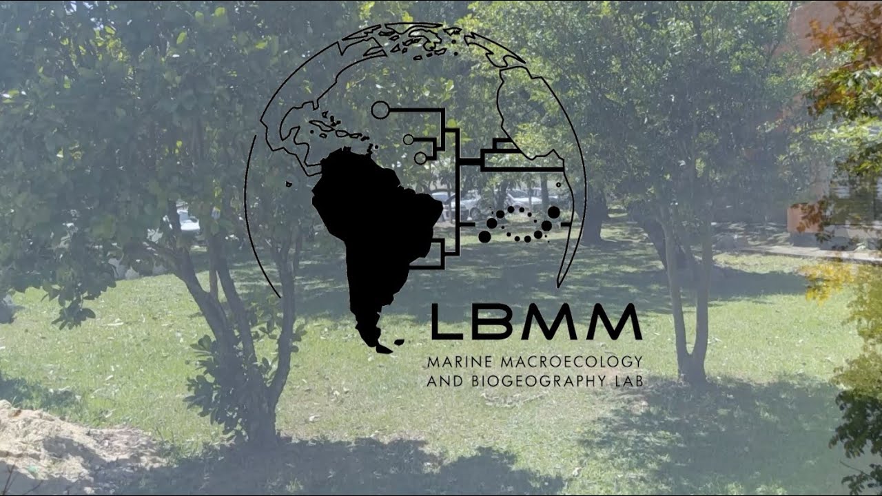 Apresentando o LBMM / Introducing the LBMM - YouTube