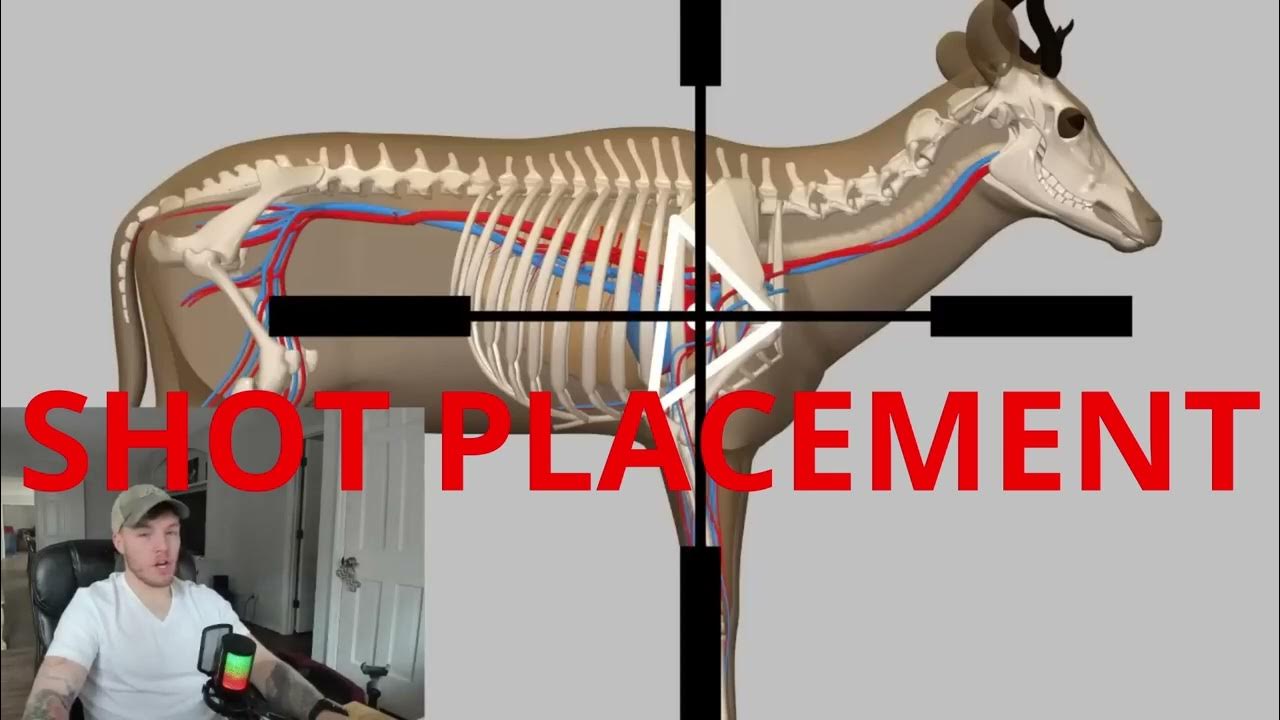 New Deer Hunters Guide - Shot Placement - How to Hit the Vitals - YouTube