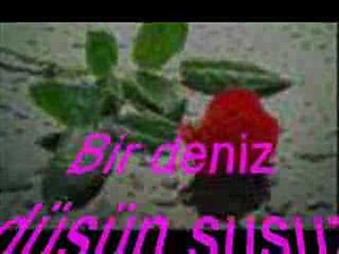 etkin sensizim canım