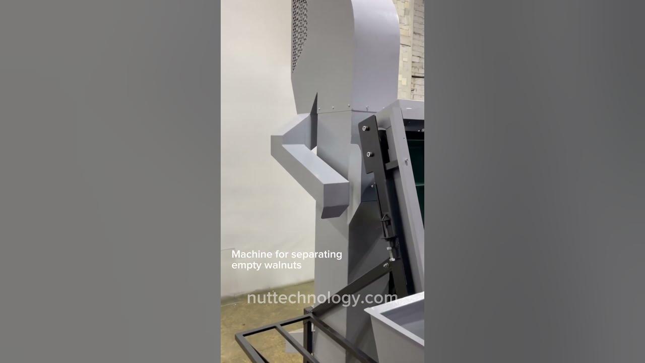 Post-harvest walnut processing. Machine for peeling green skin and sorting empty walnuts in ...