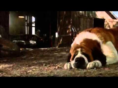 Cujo trailer - YouTube