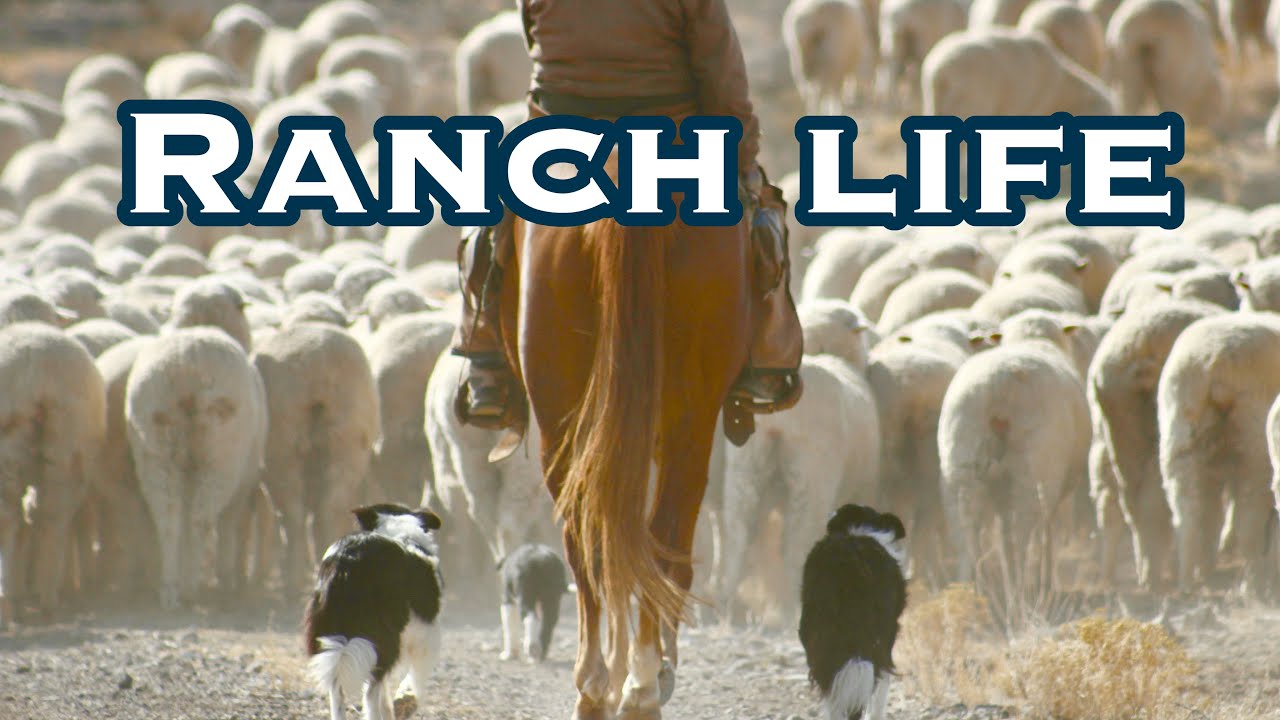 A Cowboy’s Poem: This Is Life on the Range - YouTube