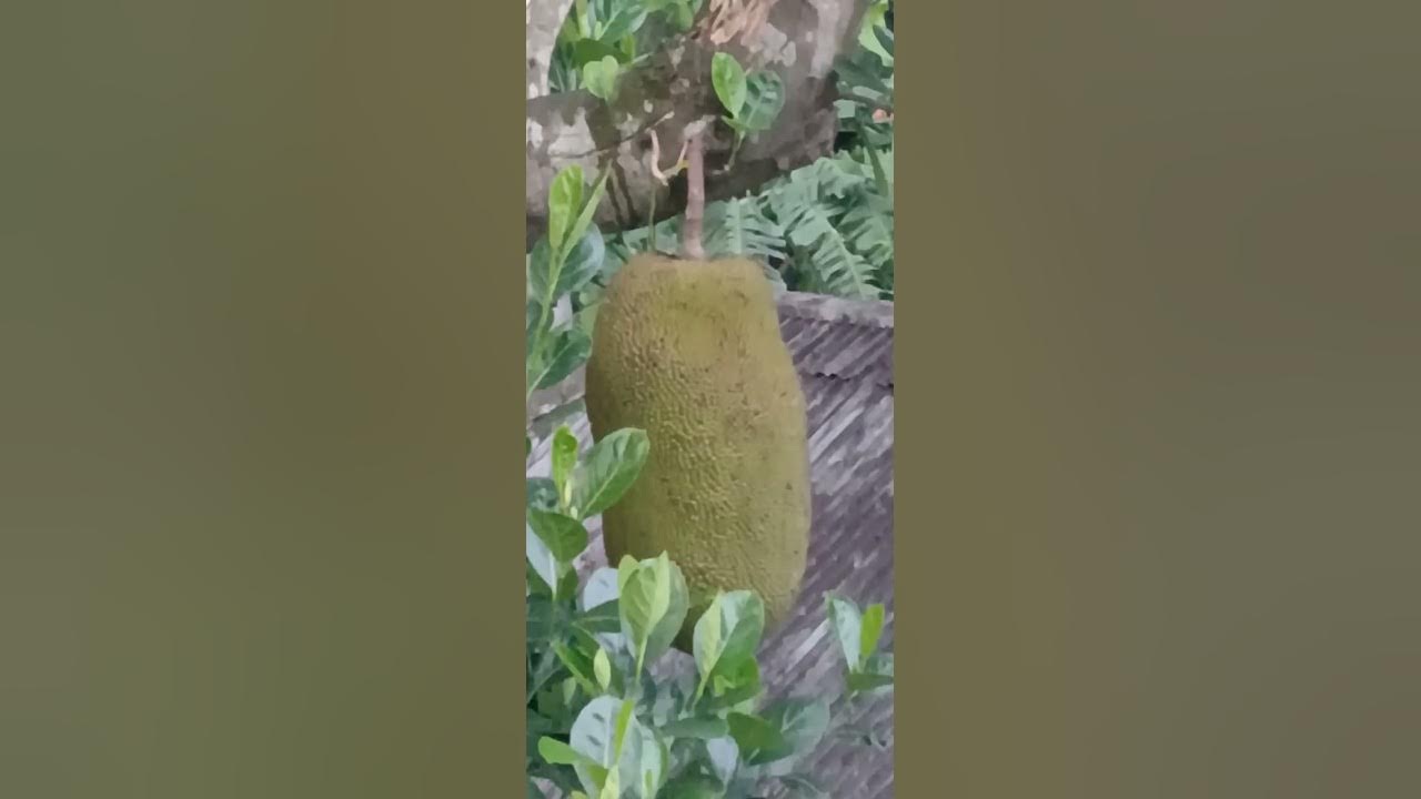 sam time vlog - YouTube