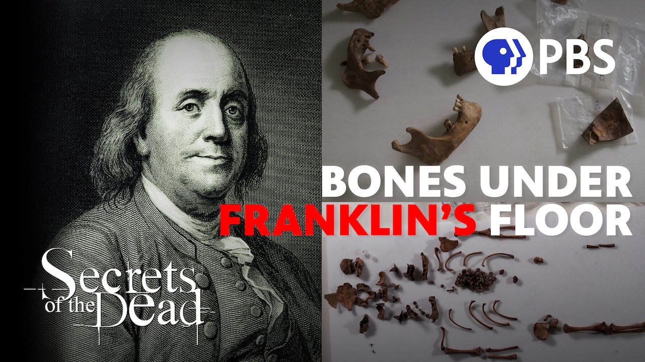 A Turtle, a Pit of Bones, and Ben Franklin’s Neighbor | Secrets of the ...
